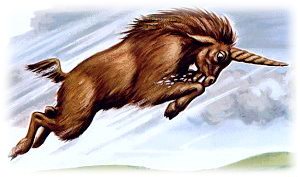 Cours de Bible Pleins feux sur la prophétie